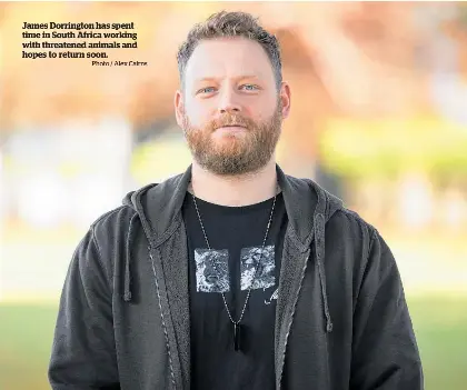 Kiwi ranger itching to get back to saving lions - PressReader