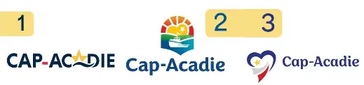 Cap-Acadie: la saga du logo tire à sa fin - PressReader