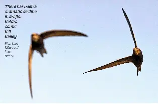 Comedian Bill joins campaign for swift action - PressReader