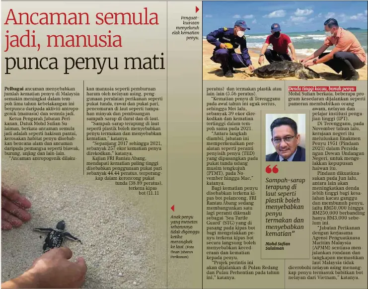 Ancaman semula jadi, manusia punca penyu mati - PressReader