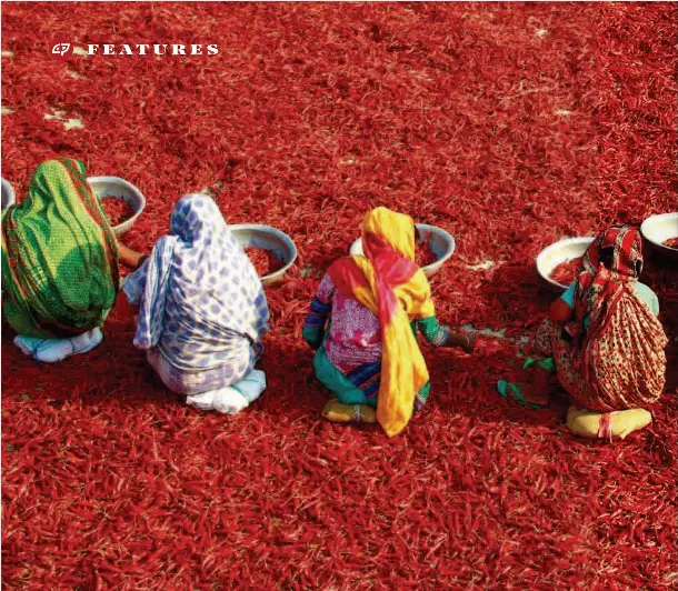 Stirring the Melting Pot - PressReader