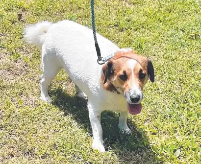 COMMUNITY NOTICES - PressReader