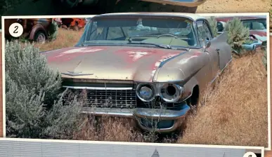 Will Shier's DISCOVERIE­S - PressReader