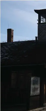 Steph Paton - PressReader