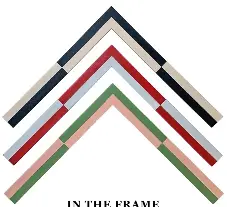 IN THE FRAME - PressReader