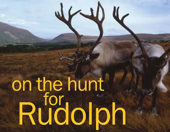 on the hunt for Rudolph - PressReader