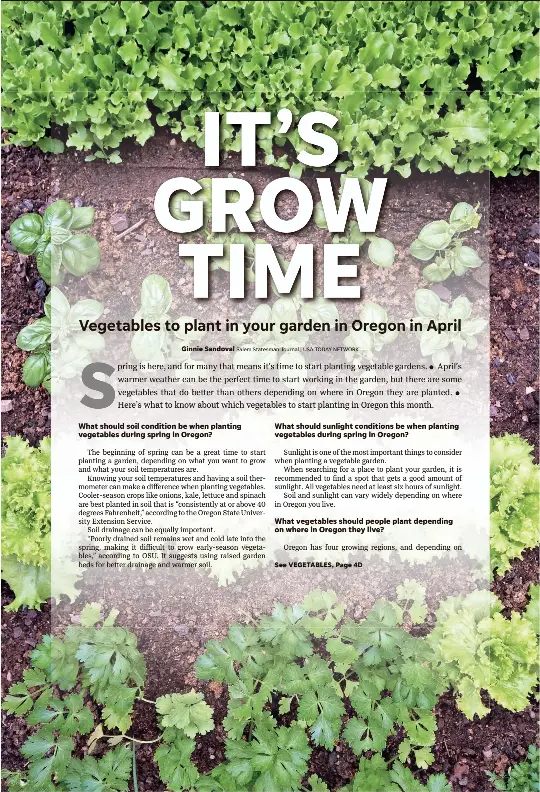 IT’S GROW TIME - PressReader
