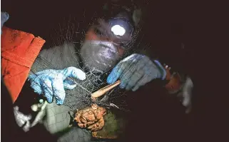 EN LA SELVA MAYA - PressReader