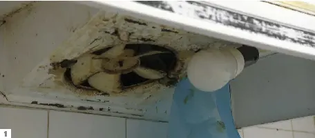 Et on laisse habiter des humains dans ces taudis - PressReader