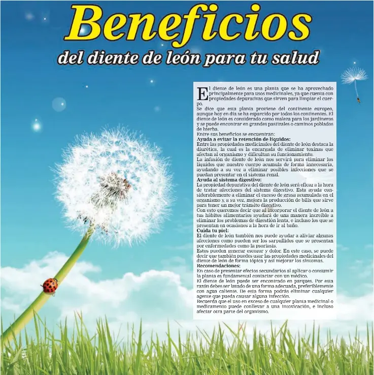 Beneficios - PressReader