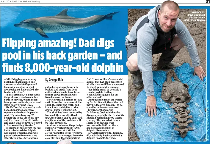 Flipping amazing! Dad digs pool in his back garden – and finds 8,000 ...