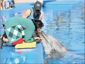 PICTURES - PressReader