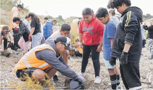 Environmen­tal cadetship boost for Porirua - PressReader