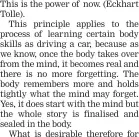 Happiness is impossible with an untethered mind - PressReader