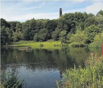 Colliery relic BURIED FOR FIFTY years uncovered AT COUNTRY PARK ...