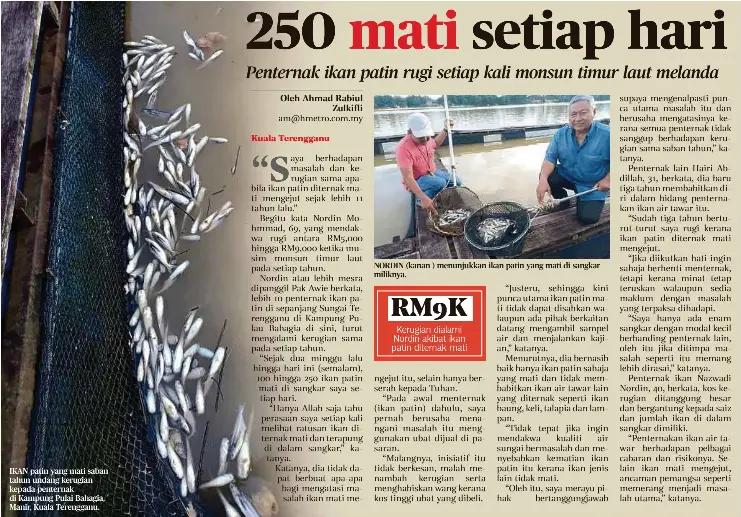 250 mati setiap hari - PressReader