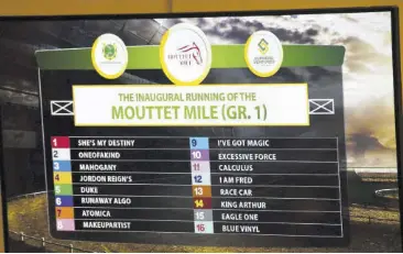 Ultra-rich Mouttet Mile seen as catalyst for big change in local racing ...