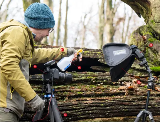 ON LOCATION MAJESTIC MUSHROOMS - PressReader