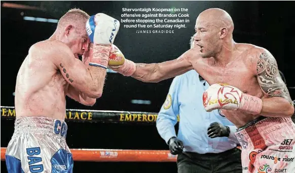 Koopman’s fists talked the loudest against Cook - PressReader
