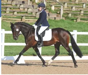 A rider made a winning return with a young horse after having a baby ...