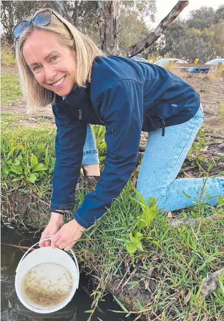 STOCK AND AWESOME - PressReader