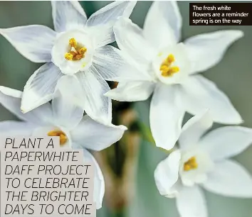 Make a fresh start - PressReader