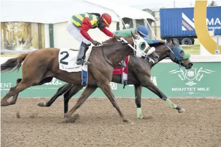 Equipment change makes a difference for Don’t Tell Lou Lou - PressReader