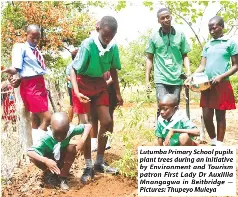 First Lady mobilises nation behind tree planting - PressReader