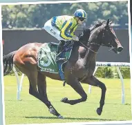 Tardelli ready to take next step for O’Shea - PressReader