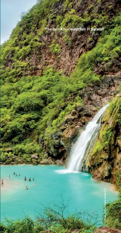 Growth IN SIGHT - PressReader