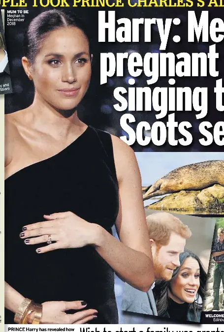 Harry: Meg got pregnant after singing to the Scots selkies - PressReader