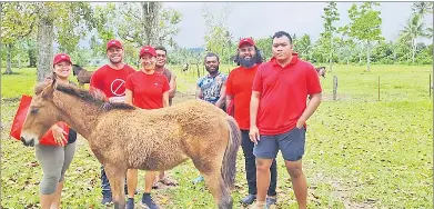 Bank staff volunteer for various community activities - PressReader