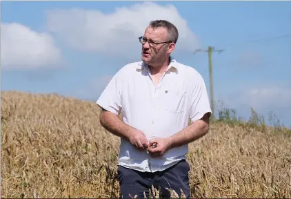 From grain to glass: how locally-produced wheat helps make premium ...