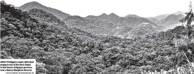 Apayao, a PHL eagle stronghold, chosen as Unesco Biosphere Reserve ...