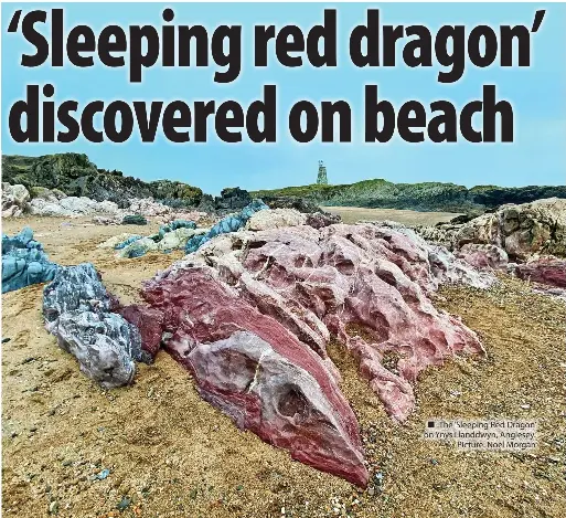 ‘Sleeping red dragon’ discovered on beach - PressReader