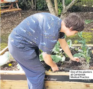 ‘Water three times a day before meals’ - PressReader
