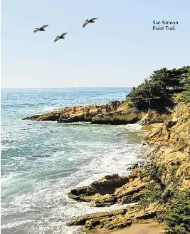 The time is now for a Highway 1 road trip - PressReader