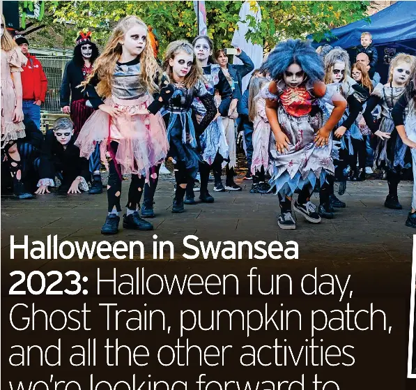 Halloween in Swansea 2023: Halloween fun day, Ghost Train, pumpkin patch, and all the other ...