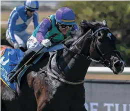 Lavender Bay has a sweet smell - PressReader