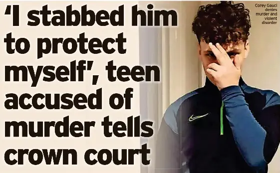 ‘I stabbed him to protect myself’, teen accused of murder tells crown ...