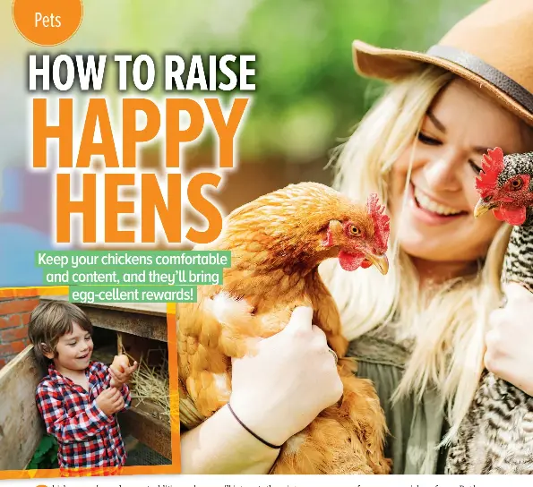 HOW TO RAISE HAPPY HENS - PressReader