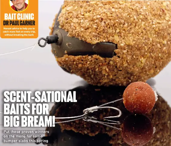 SCENT-SATIONAL BAITS FOR BIG BREAM! - PressReader