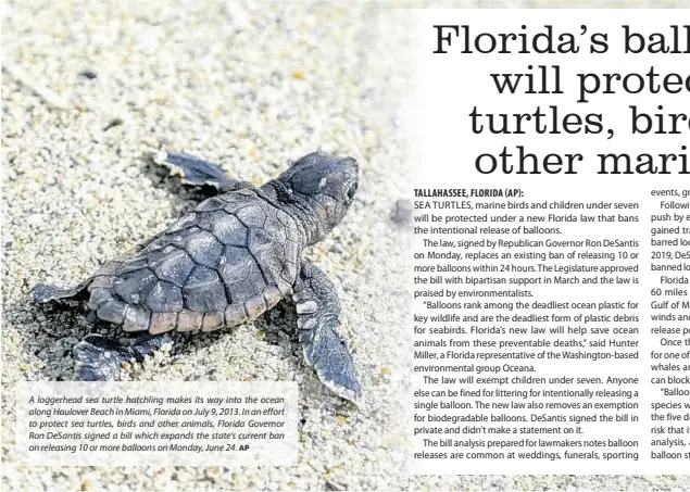 Florida’s balloon ban will protect sea turtles, birds and other marine life - PressReader
