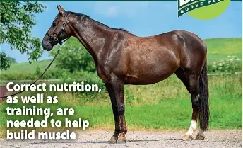 Ask The Baileys’ Expert - PressReader