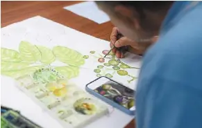 Taking it back to nature - PressReader