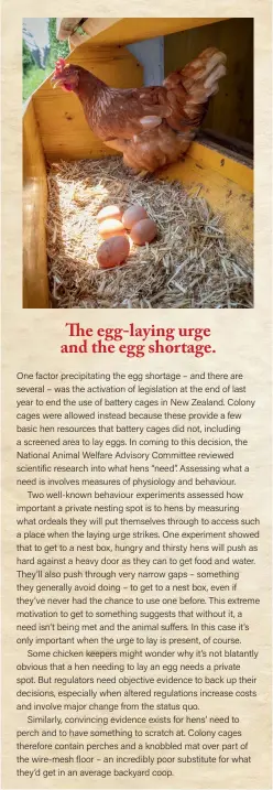 The egg-laying urge and the egg shortage. - PressReader