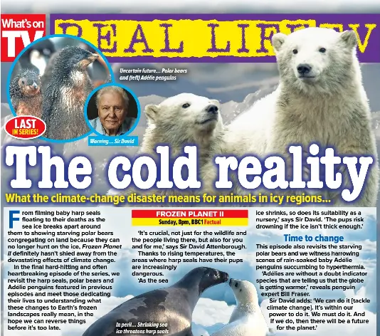 The cold reality NEW - PressReader