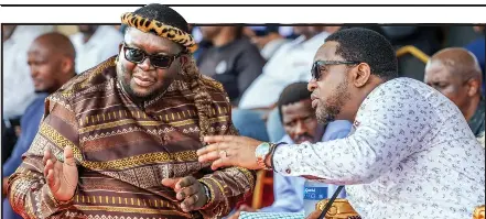 Ndunankulu omusha kaZulu ngiyathemb­a udle amaningi esakeni kumfo ...