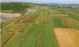 Nature’s ghosts: how reviving medieval farming offers wildlife an ...