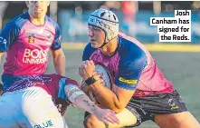 Former Rebel Canham locked in for role at the Reds - PressReader